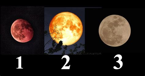 Izaberi Mesec I Saznaj Koliko Ces Srece Imati U Narednih Mesec Dana
