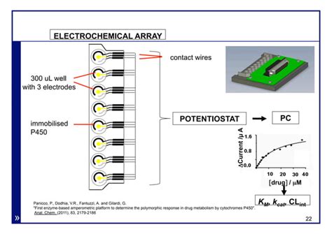 Enzyme Assemblies For Nanotechnology Applied To Drug Metabolism Pdf