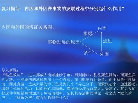 第四课第一节第二框坚持内因外因相 结合的观点 ppt download