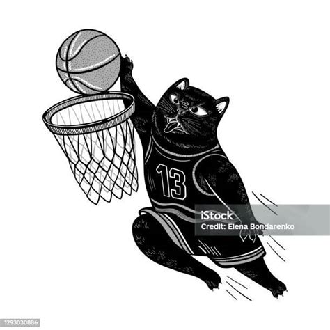 농구를 하는 검은 고양이 벡터 고양이는 바구니에 공을 던진다 인쇄 디자인 카드 엽서 포스터에 대한 플랫 귀여운 일러스트 농구 팀 스포츠에 대한 스톡 벡터 아트 및 기타
