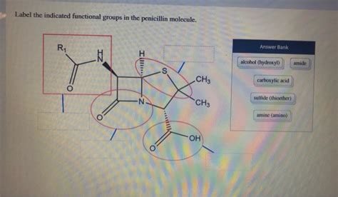 Solved Label The Indicated Functional Groups In The