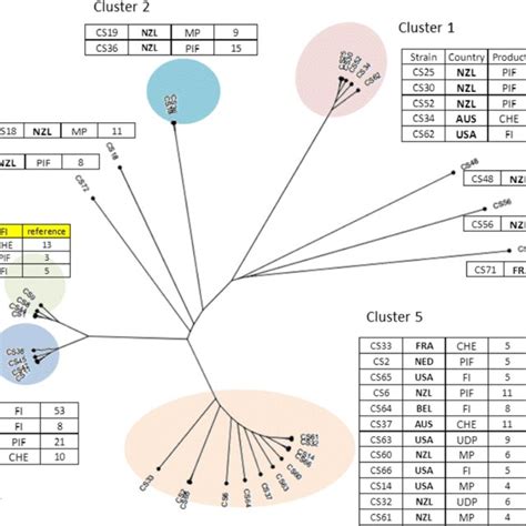 Snp Phylogeny Of C Sakazakii Strains Belonged To St13 The Snps