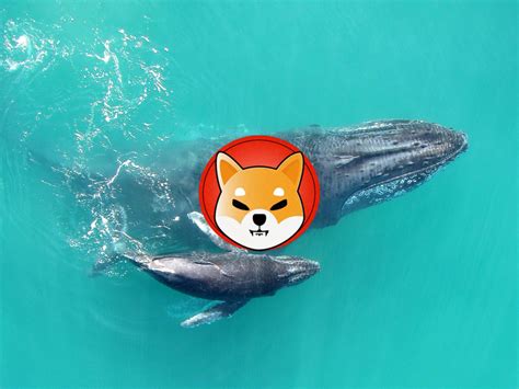 Shiba Inu New Shib Whale Buys 3 Trillion Coins Worth 34 Million