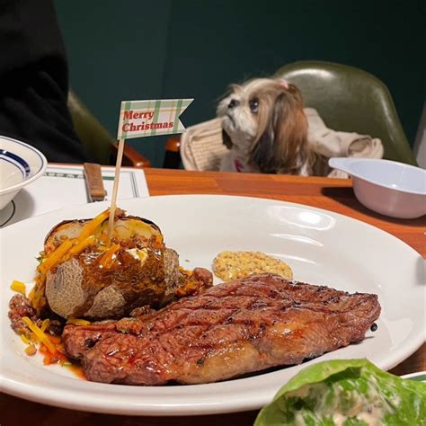 수원 애견동반식당 커들 호매실 맛집 스테이크하우스 네이버 블로그