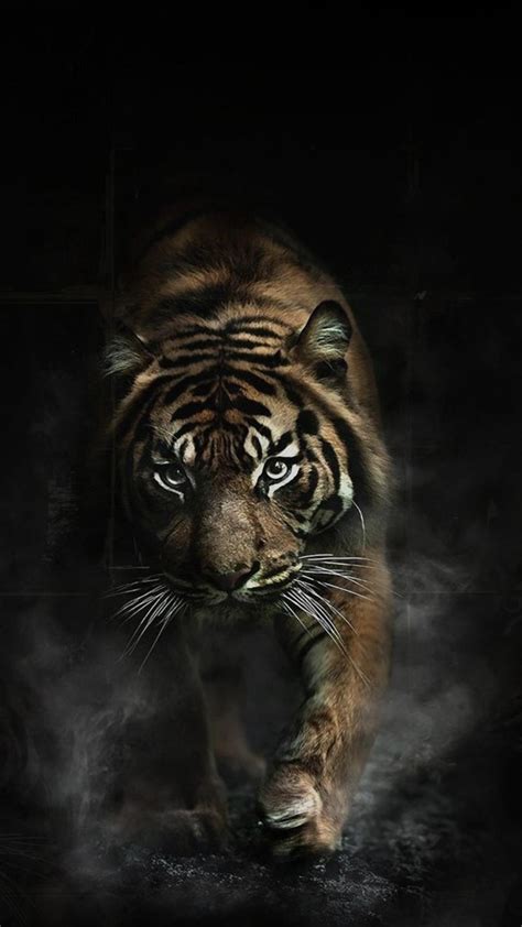 Dangerous HD Wallpapers Wallpaper Cave