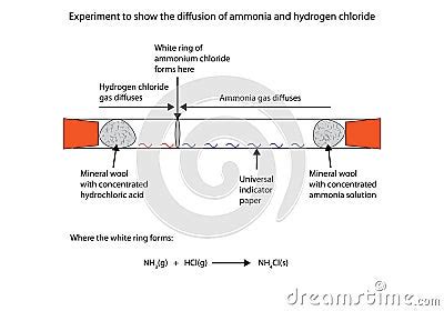 Illustration Of Ammonia And Hydrogen Chloride Diffussion Stock Photography CartoonDealer Com