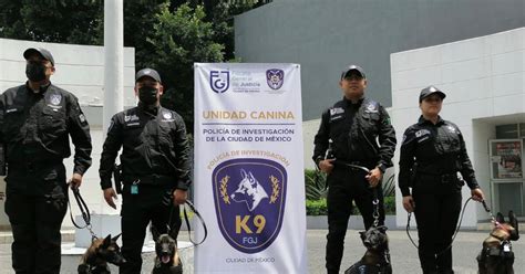 Ellos Son Sherlock Kaiser Jack Y Kai Los Nuevos Perritos Que Se Unen
