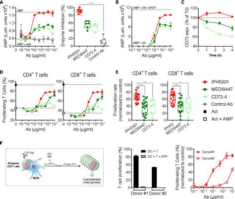 Figure 4 From Blocking Antibodies Targeting The Cd39cd73