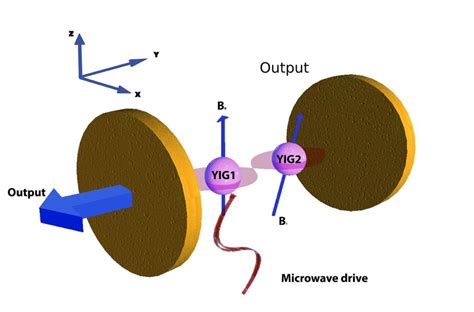 Schematic Of Cavity Magnons Two Yig Spheres Are Interacting With The Download Scientific