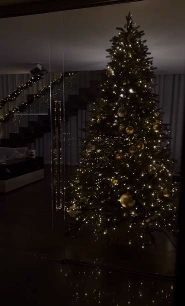 Tehotná Cibulková Ukázala Vianočnú Výzdobu Neskutočný Luxus Dominika
