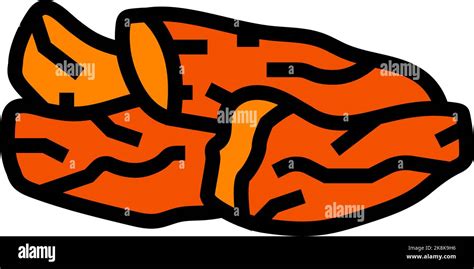 Papaya Dried Fruit Color Icon Vector Illustration Stock Vector Image