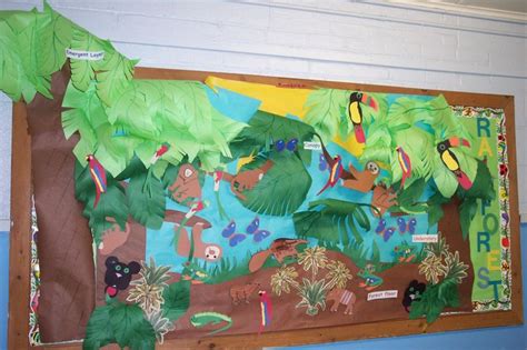 Rainforest Display School Displays Outdoor Classroom Rainforest Classroom