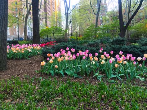 Tudor City Greens Gresham Lang Garden Design Llc