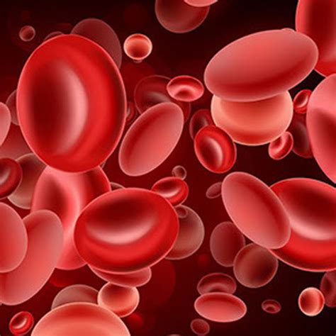 ESR Vs CRP Understanding The Difference In Inflammation Markers