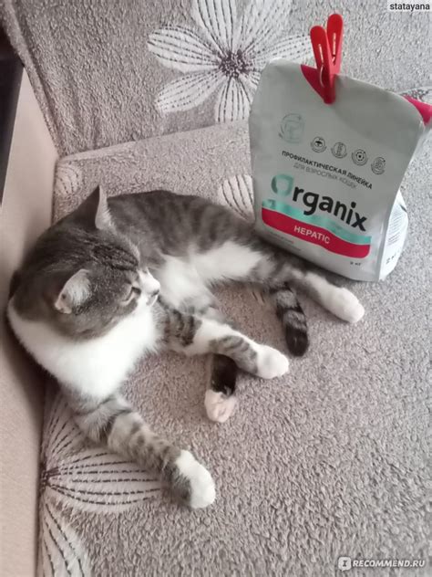 Корм для кошек Organix сухой для кошек Hepatic "Поддержание здоровья ...