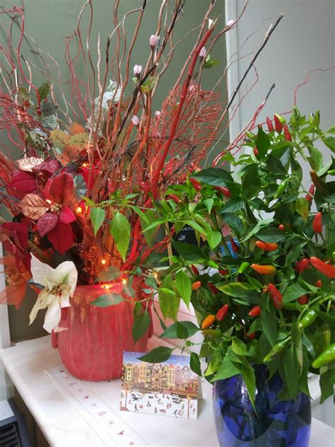 ΚΑΠΗ ΔΗΜΟΥ ΗΡΑΚΛΕΙΟΥ ΑΤΤΙΚΗΣ ΣΤΟΛΙΣΜΑ ΧΡΙΣΤΟΥΓΕΝΝΙΑΤΙΚΩΝ ΔΕΝΤΡΩΝ ΤΩΝ ΚΑΠΗ