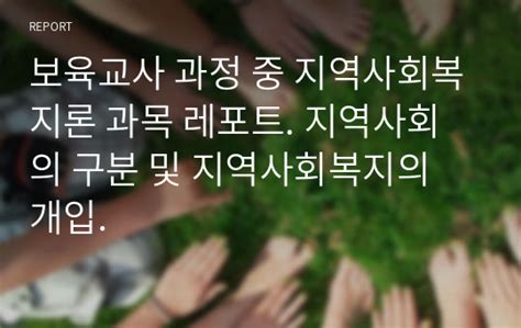보육교사 과정 중 지역사회복지론 과목 레포트 지역사회의 구분 및 지역사회복지의 개입 레포트
