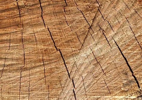 Split Wood Grain Texture SteinMixedMedia