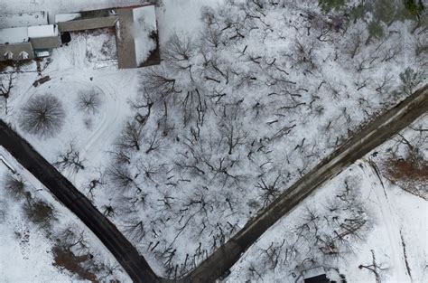 non nadir view of trees in orthophoto with snow webodm opendronemap