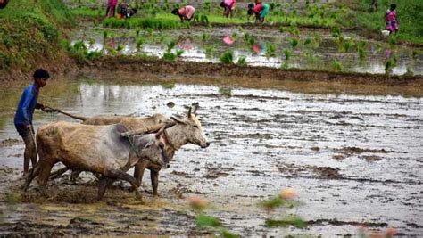 Maha Farmer Sues Traders Under New Farm Law Gets Dues Above 2 Lakh