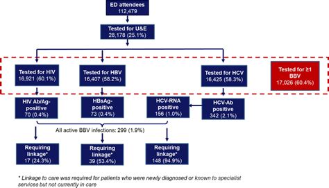 Flow Of Patients Through The Bbv Testing Pathway Within The Ed Testing