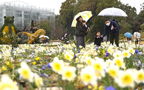 浜名湖花博写真特集開幕初日から笑顔 満開 静岡新聞DIGITAL 静岡県のニュース