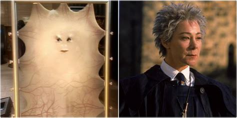10 Doctor Who Actors Who Appeared In Harry Potter