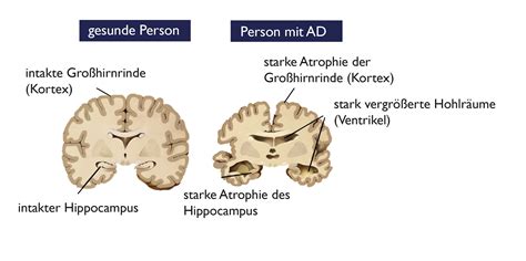 Basisinformation