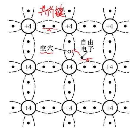 模电基础：pn结与二极管 Pn结和二极管 Csdn博客