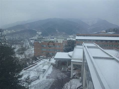 2018平昌冬奥会令人惊叹的体育和文化盛会照片无滤镜韩国文化比赛和高清图片下载 正版图片503848830 摄图网