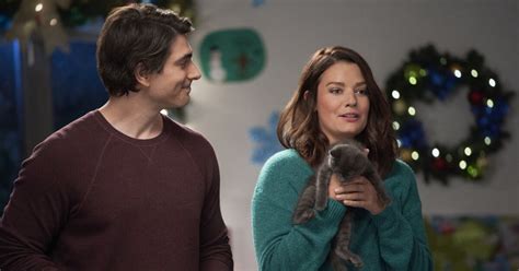 The Nine Kittens Of Christmas About