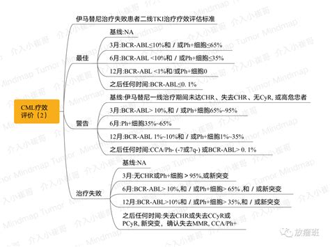 CSCO2022肿瘤思维导图30期 恶性血液病 思维导图 靶向治疗 临床诊疗 血液病 肿瘤 健康界