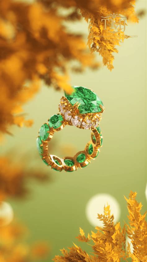 Tmj Ring Animation Behance