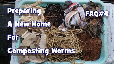 Worm Bin Bedding Options Bedding For Vermicomposting Bin Youtube