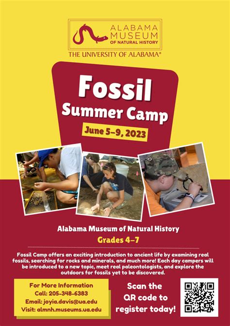 Fossil Camp The University Of Alabama Museums