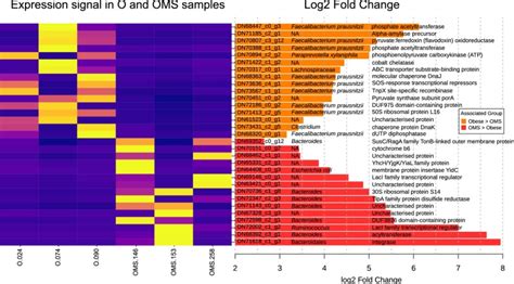 Metatranscriptomic Analysis To Define The Secrebiome And 16s Rrna Profiling Of The Gut