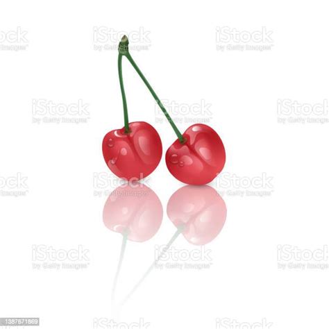 붉은 체리 줄기와 함께 잘 익은 열매 두 개 흰색으로 격리된 사실적인 벡터 일러스트 그림자입니다 달콤한 과일 3차원 형태에 대한 스톡 벡터 아트 및 기타 이미지 Istock