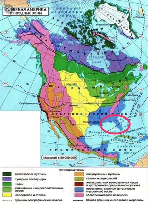 Какие природные зоны характерны для полуострова Флорида Школьные Знания Com