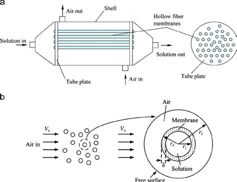 A Structure Of A Hollow Fi Ber Lamee 89 And B A Detailed