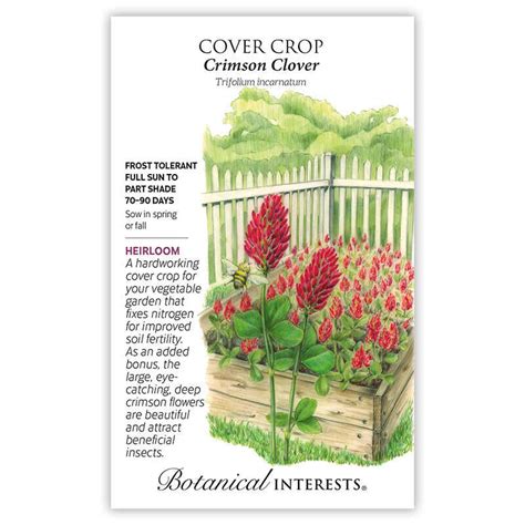 Crimson Clover Cover Crop Seeds Epic Gardening