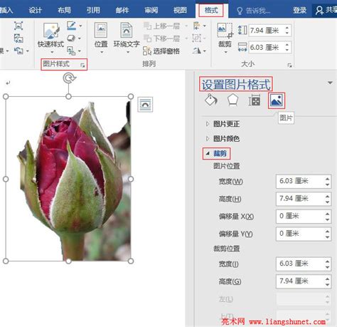4 35 Word 2016 参数数值裁剪图片左和上灰色 Word2016入门进阶教程 亮术网