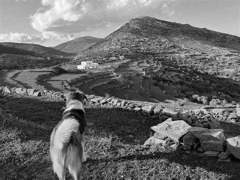 Booking Conditions The Wheatfield House Sifnos
