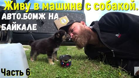 Живу и путешествую в машине с собакой Теперь у меня свой Байкал