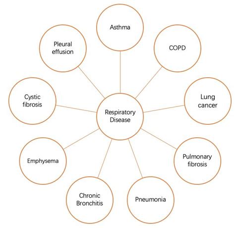 Respiratory Disease Classification Diagram