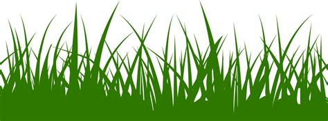 Black Grass Silhouette Seamless Meadow Border Vector Image