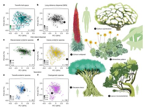 Publications Functional Ecology And Biogeography