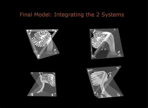 Computational Form Finding Wsa On Display 2021