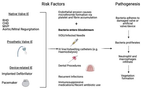 Infective Endocarditis Signs