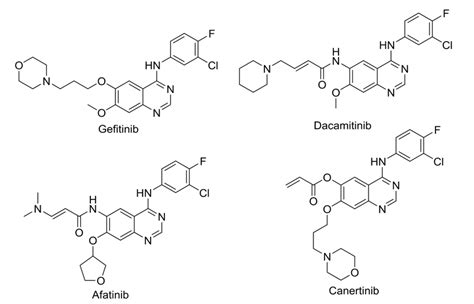 Typical Egfr Inhibitors Download Scientific Diagram