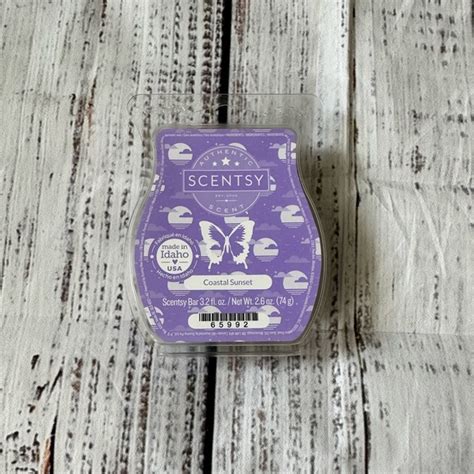 Scentsy Accents Scentsy Coastal Sunset Wax Bar Poshmark
